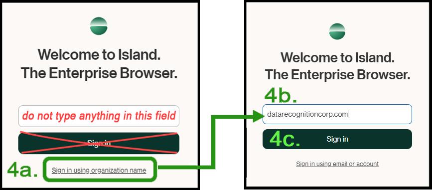 Sign in using organization name